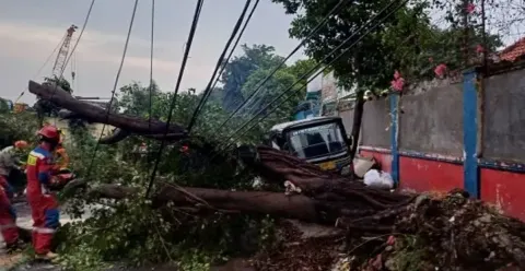 Korban Meninggal Tertimpa Pohon di Dharmawangsa Jaksel Sempat Dilarikan ...